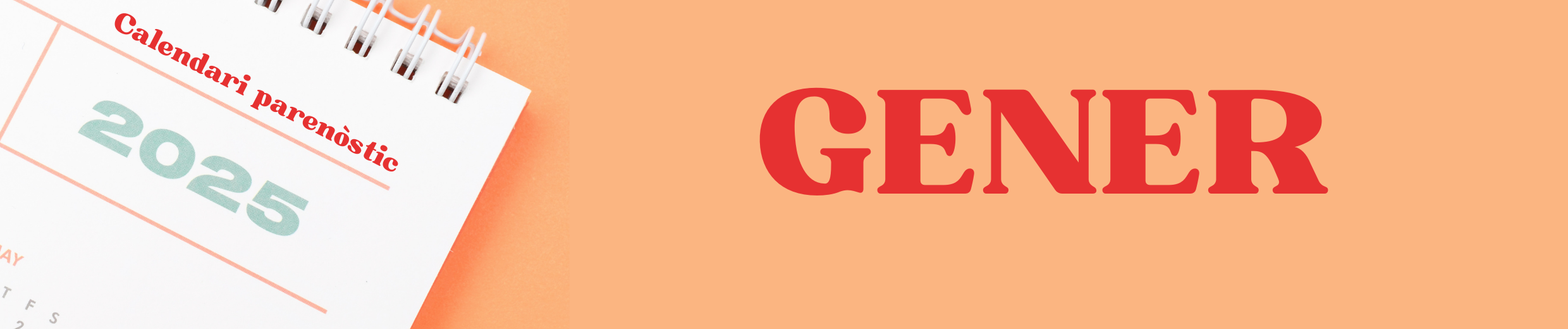 Essaig.cat | Gener de 2025